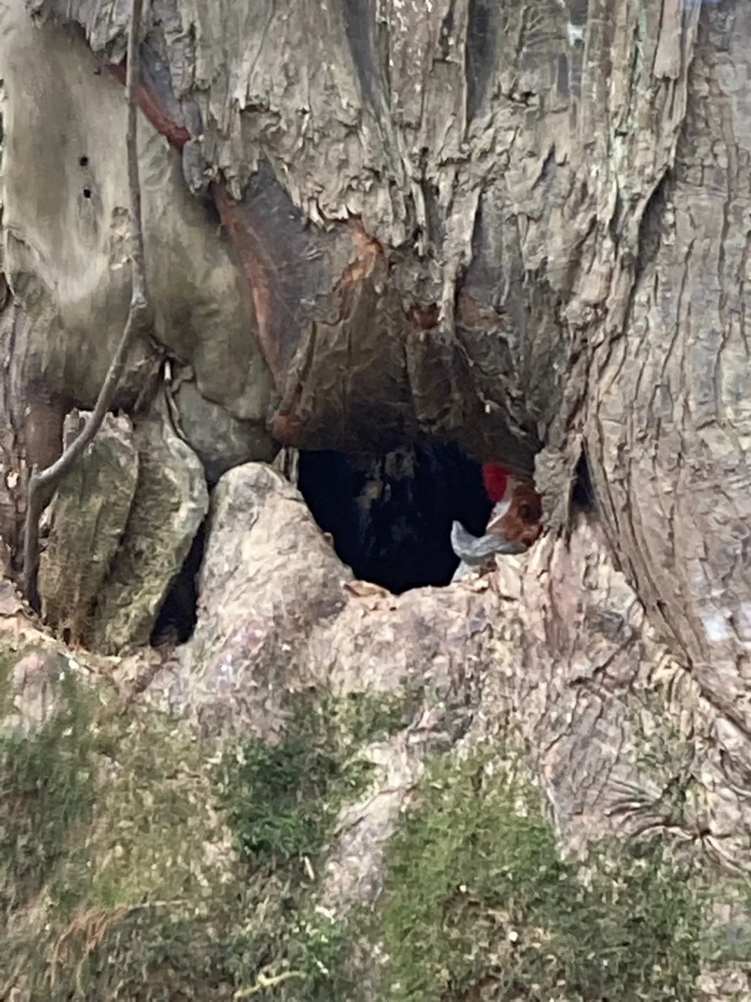 Calendar | Wolf River Conservancy